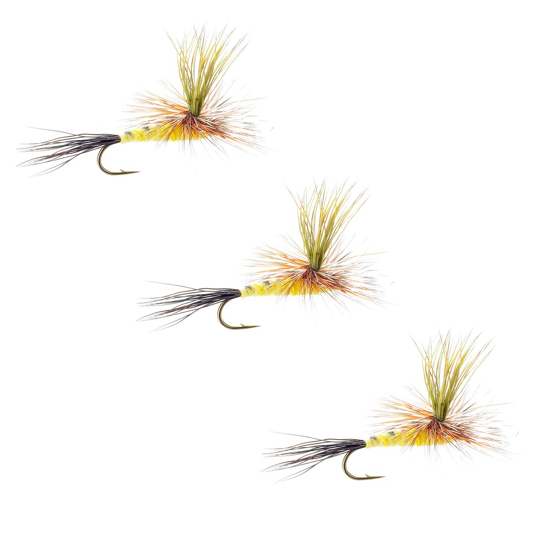 Dry Flies - Eastern Green Drake Parachute - Popular Dry Fly for All Fly ...