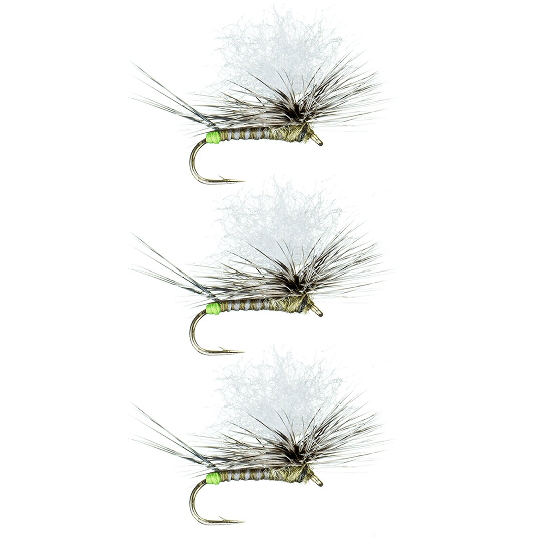 Dry Flies for Fly Fishing - BWO Parachute Wulff - Premium Trout Flies ...