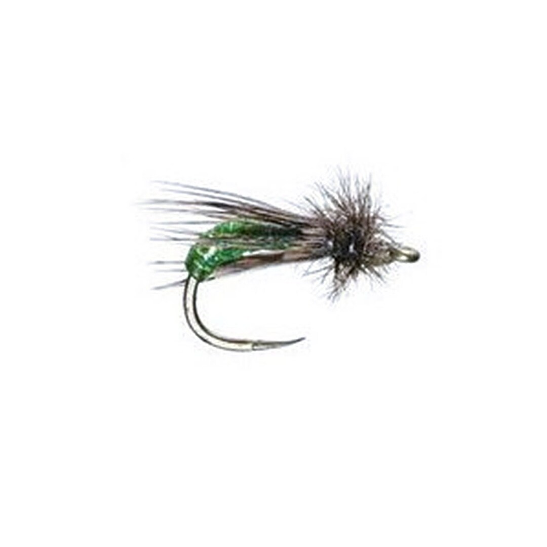 Barr's Graphic Caddis - Wet Fly - Nymph Fly Pattern - Trout Flies ...