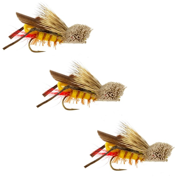 Dave s Hopper Grasshopper Fly Pattern Terrestrial Fly Fly Fishing Flies Hopper Dry Flies 3 Pack of Premium Fishing Flies Etsy
