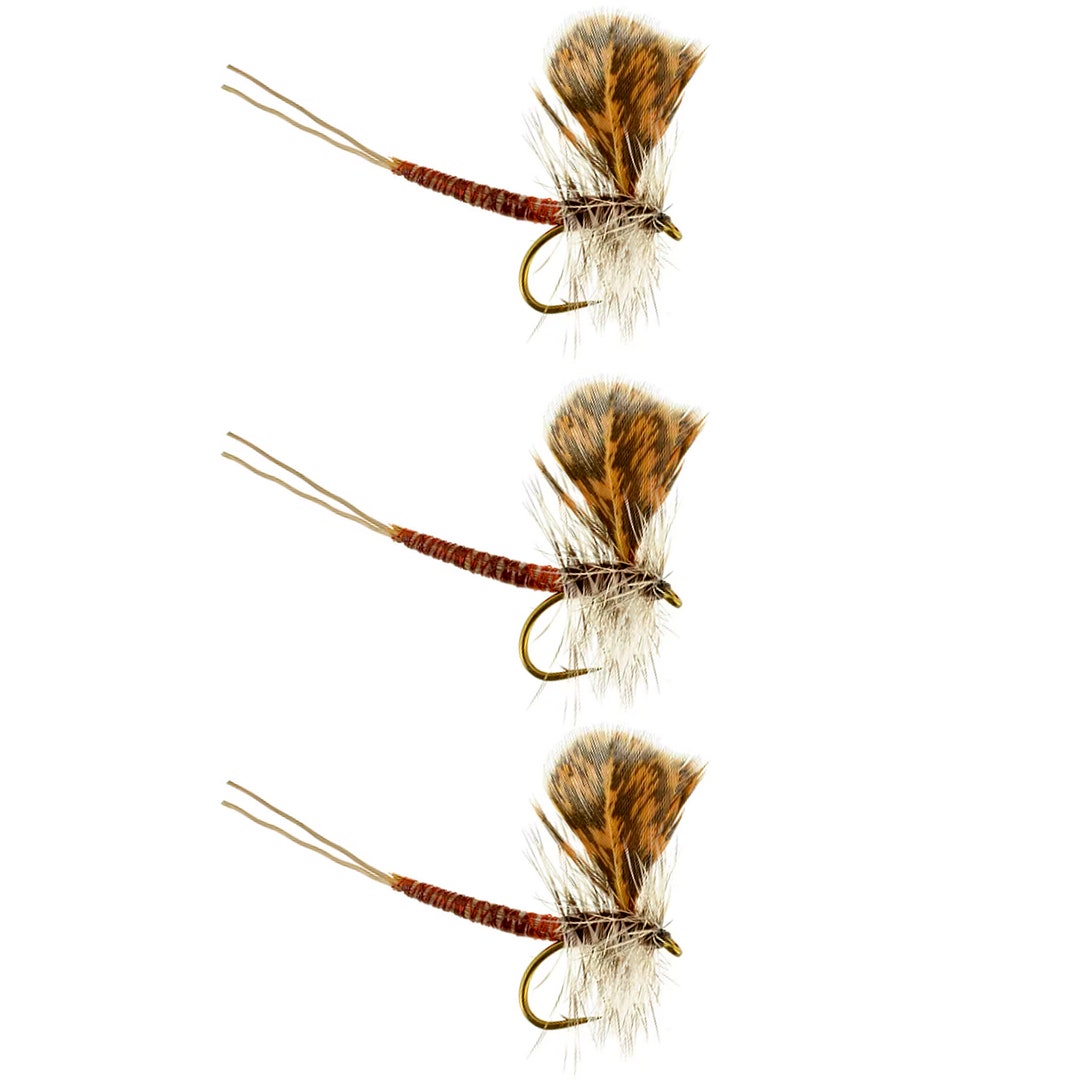 Dry Flies - Brown Drake Extended Body - Popular Dry Fly for All Fly ...