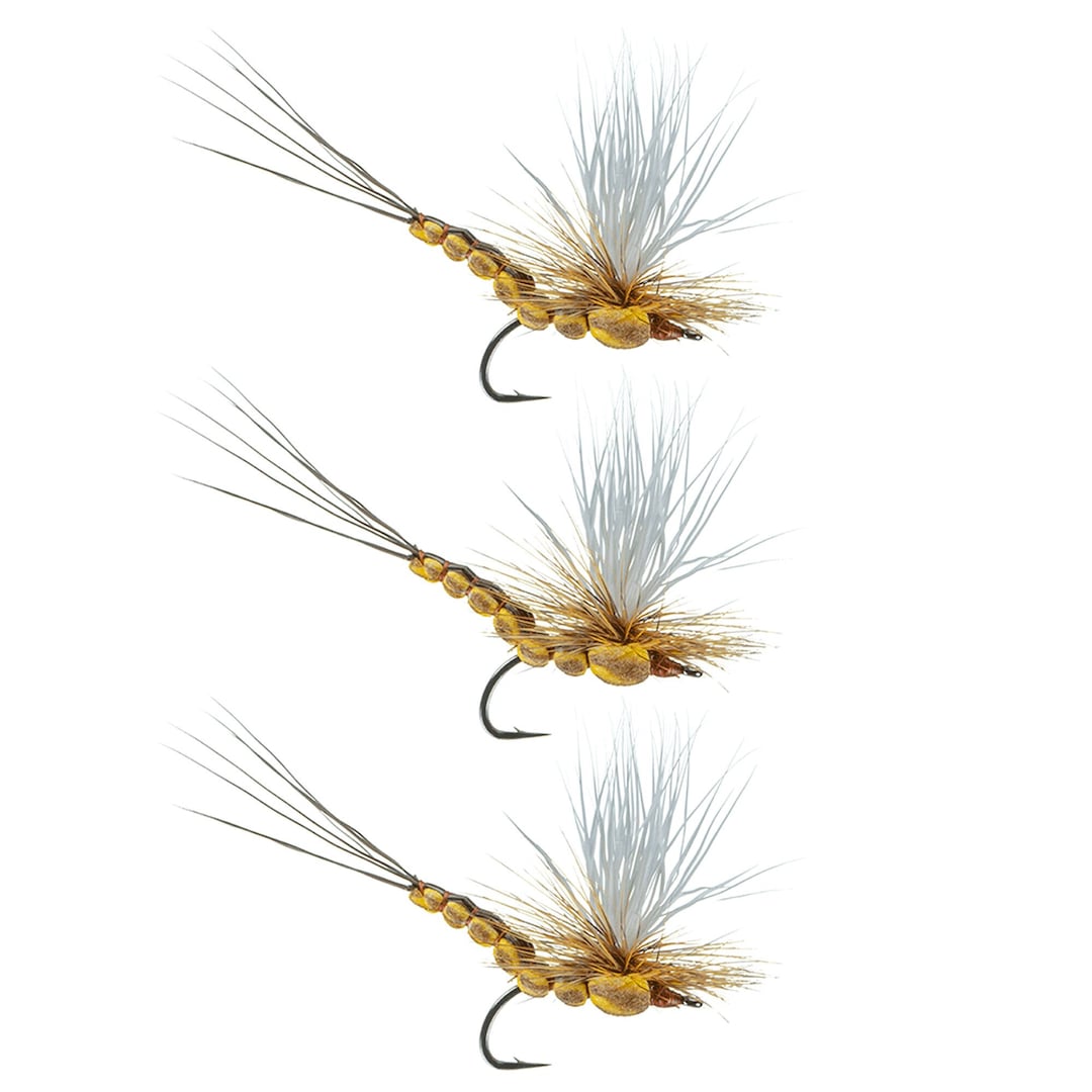 Colorado Fly Supply Dry Flies All Day Brown Drake Drake Dry Fly ...