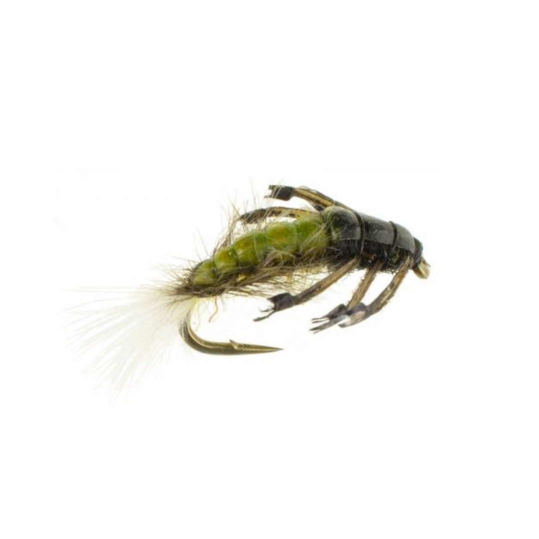 Hydropsyche Caddis Larva Trout Flies Colorado Fly Fishing Flies Shrimp ...