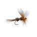 Cricket Fly Pattern Terrestrial Fly Pattern Foam Fly Pattern ...