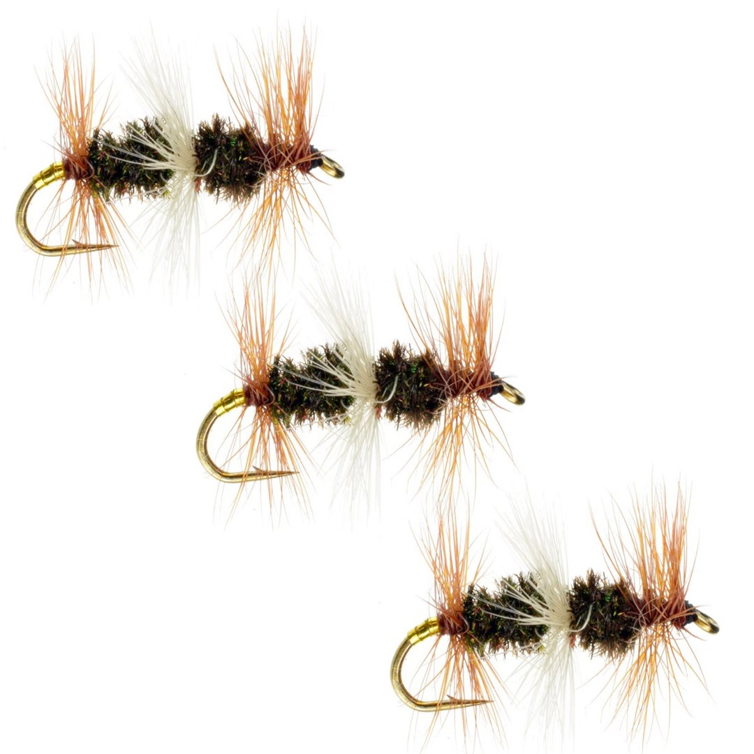 Double Renegade Dry Fly - Fly Fishing Flies for Fly Fishing - Attractor ...
