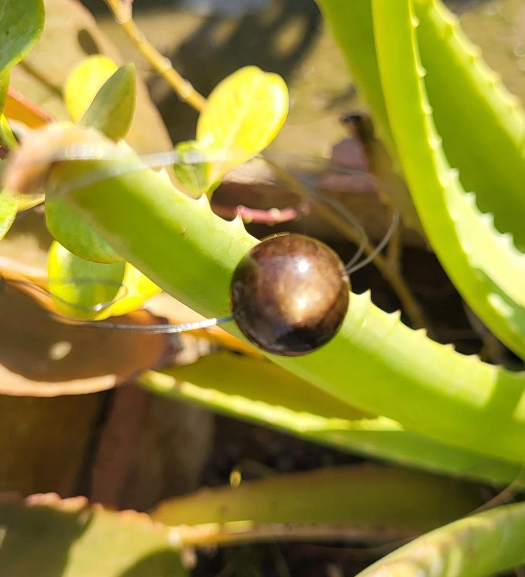 Golden Sapphire Sphere Rare Sapphire Sphere Golden Sapphire Smooth ...