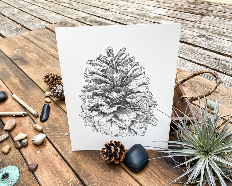 The Pinecone Original Pen & Ink Archival Print - Etsy
