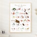 Affiche abécédaire de la forêt / alphabet enfant et bébé / - Etsy France