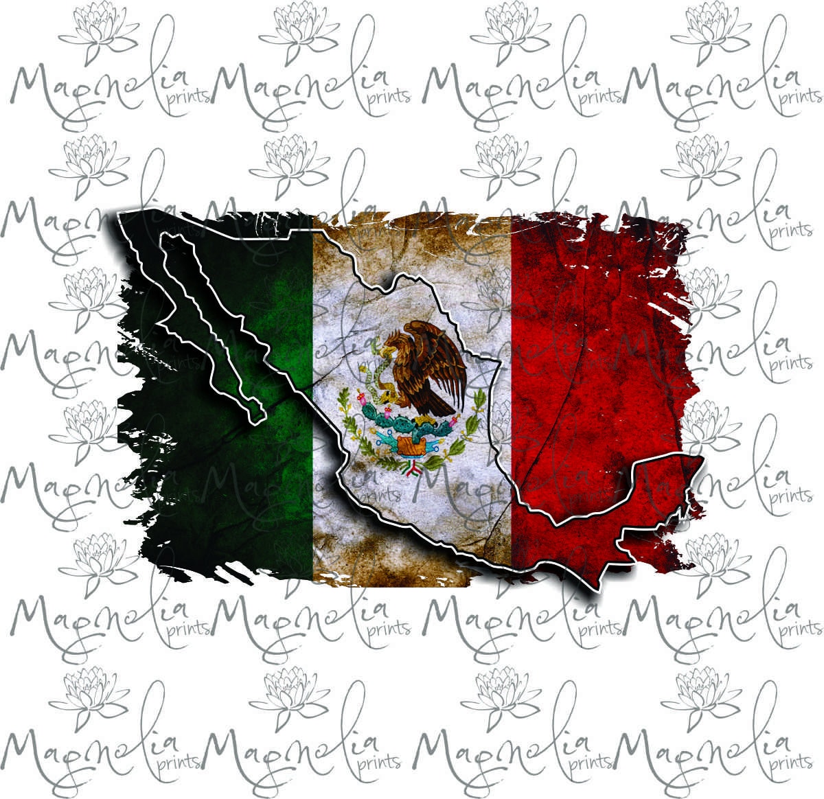 Mexican Flag Art