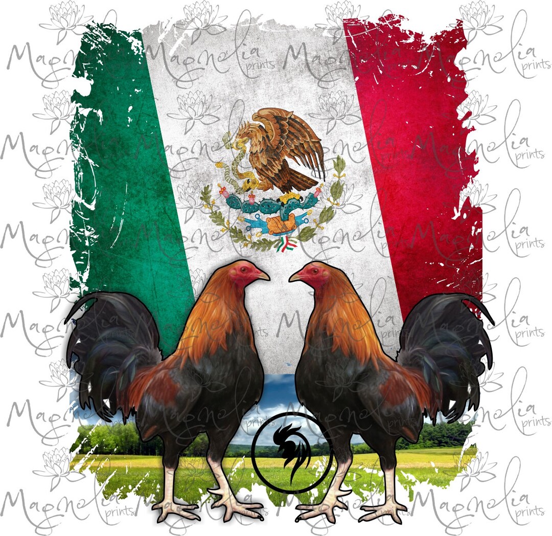 Digital File / 2 Gallo Rooster / Digital / Design File Download PNG ...