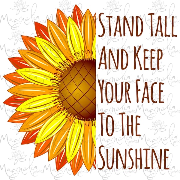 Sunflower Quote Svg - Etsy