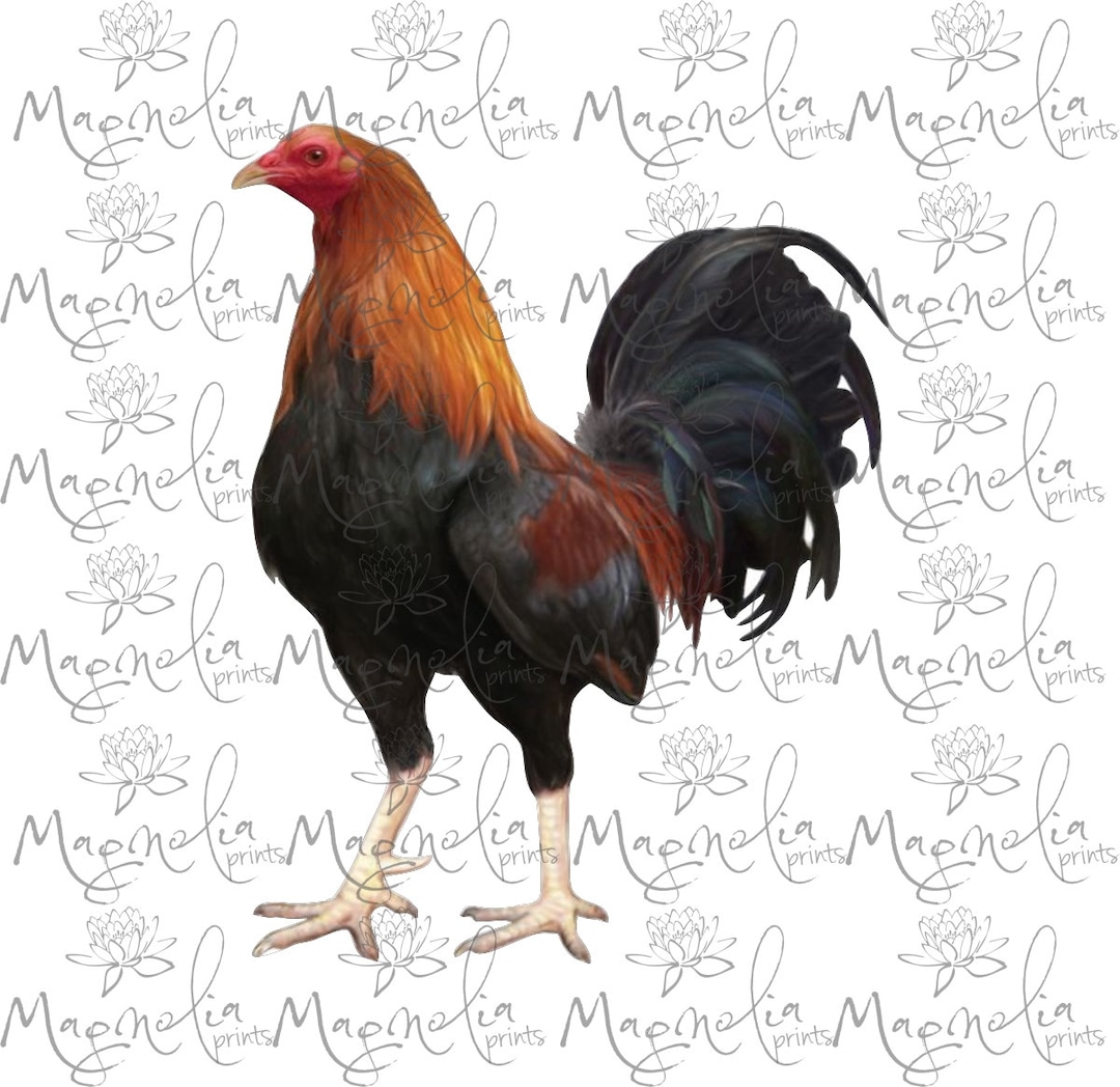 Digital File / Gallo Rooster / Digital / Design File Download SVG and ...