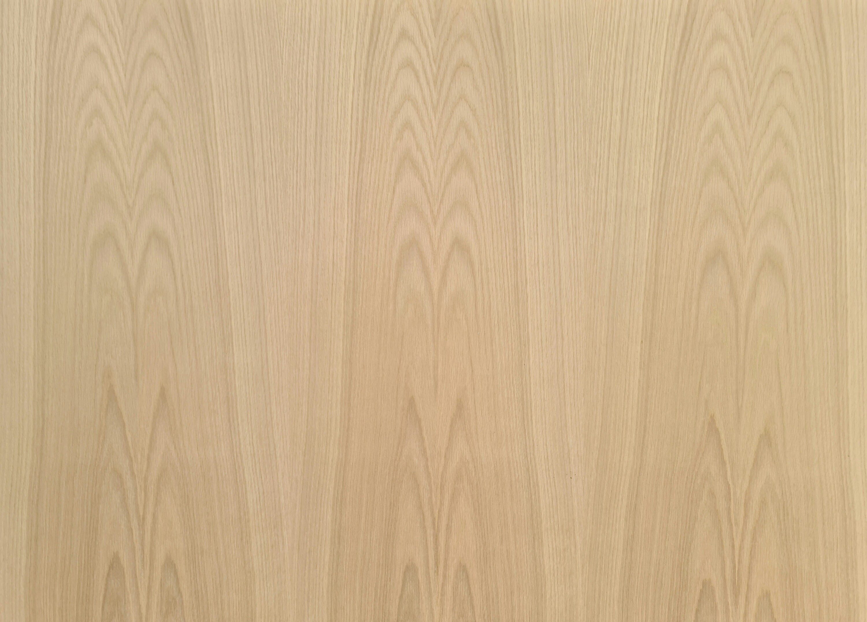 Modern Split Wooden Dry Tree of Life Framed Wall Art Hanging | Etsy