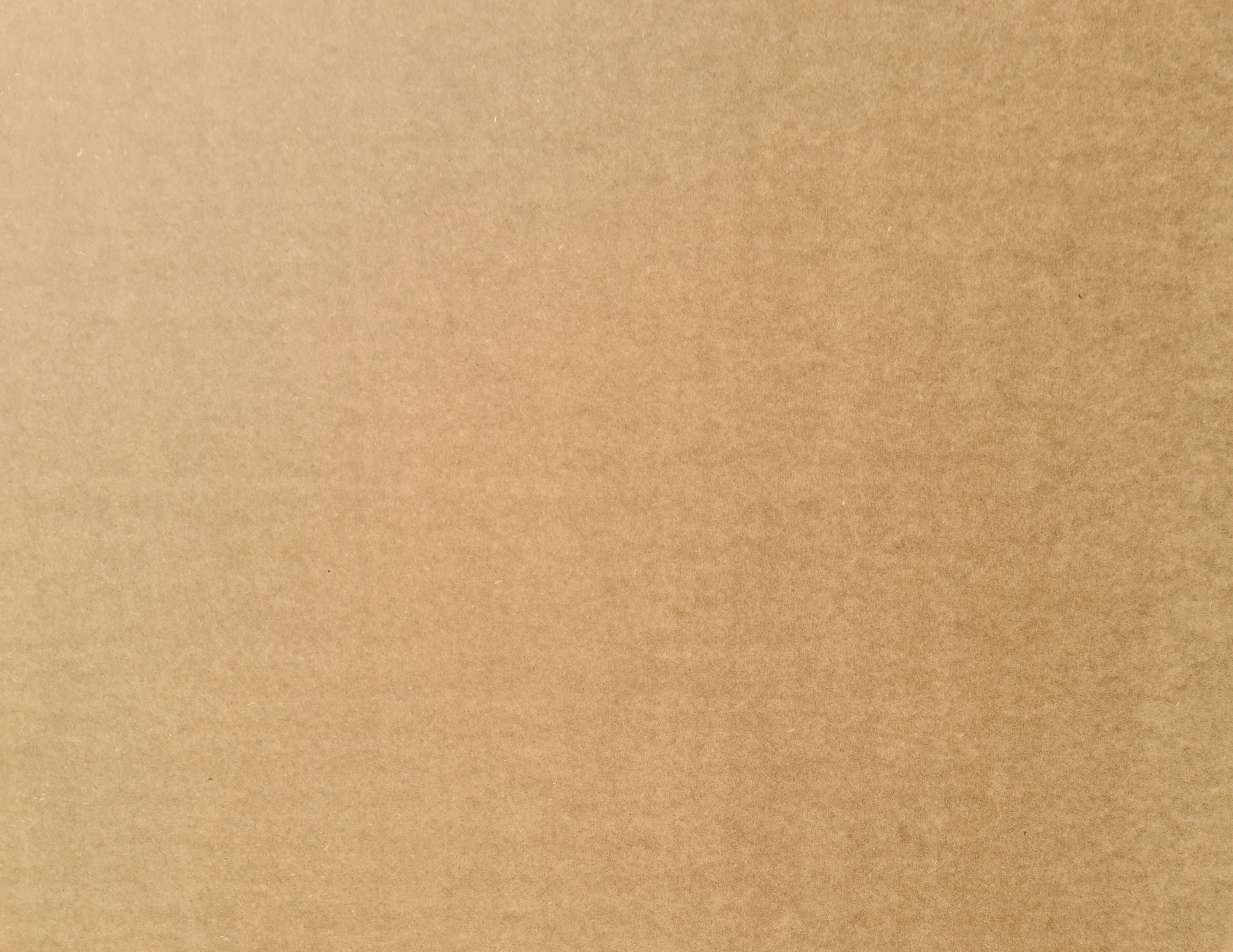 Modern Split Wooden Dry Tree of Life Framed Wall Art Hanging | Etsy