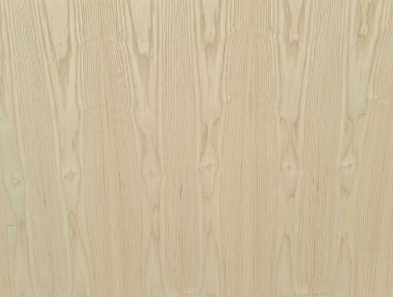 Modern Split Wooden Dry Tree of Life Framed Wall Art Hanging | Etsy