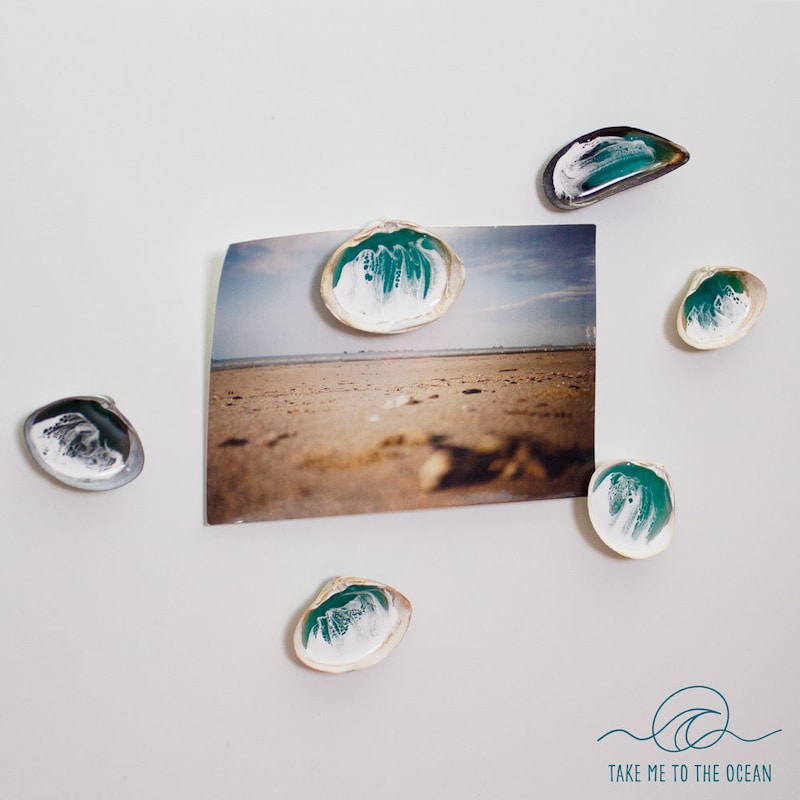 Sea Shell Resin Art - Etsy