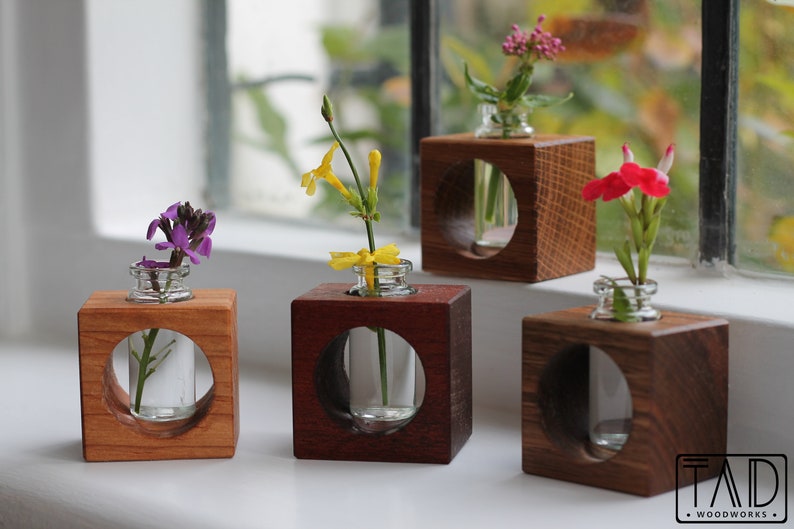 Cube Single Stem Propagation Vase - Single or Triple - Walnut - Etsy