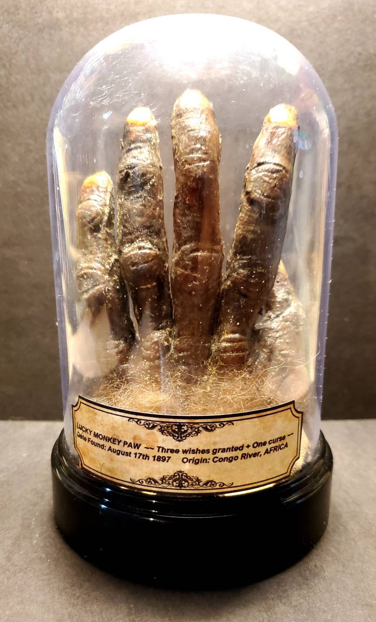 Authentic Lucky Monkey Paw Replica - Etsy