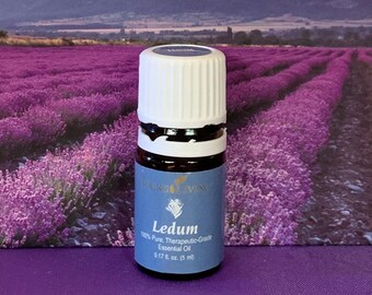 Young Living Essential Oil PEPPERMINT 5 Ml 2 Ml 1 Ml Sample | Etsy