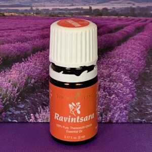 Young Living Essential Oil RAVINTSARA 5 Ml 2 Ml 1 Ml Sample Sizes for ...