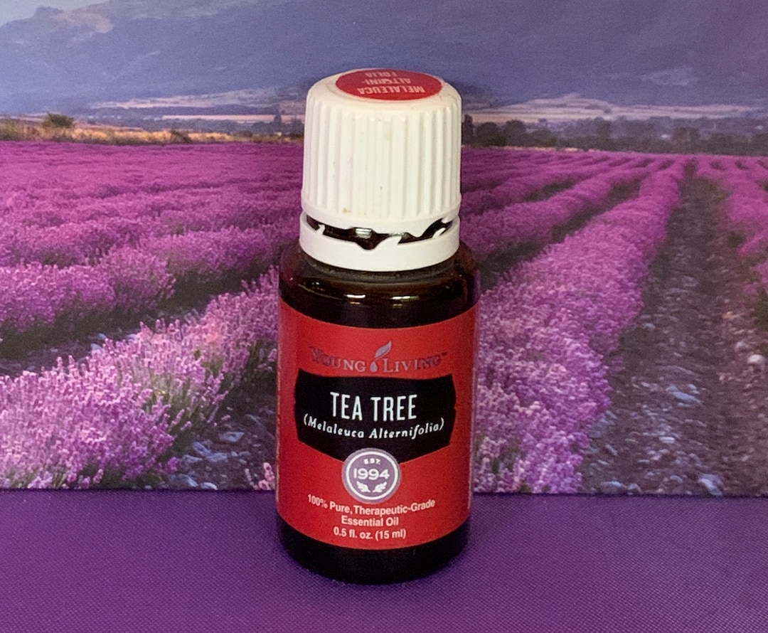 Young Living Essential Oil TEA TREE (melaleuca Alternifolia) 5 Ml 2 Ml ...