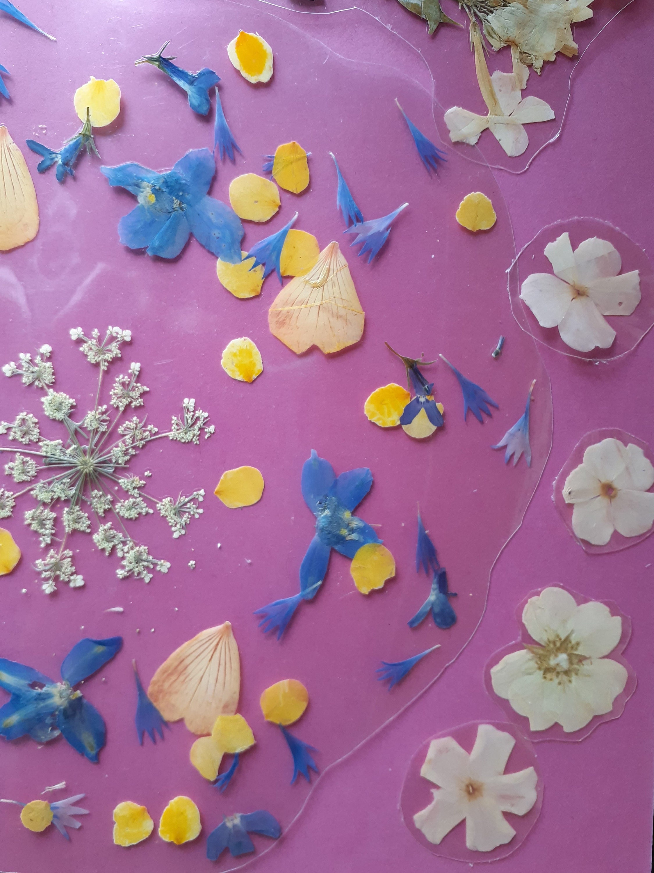Real Laminated Flowers for Crafting - Etsy Canada