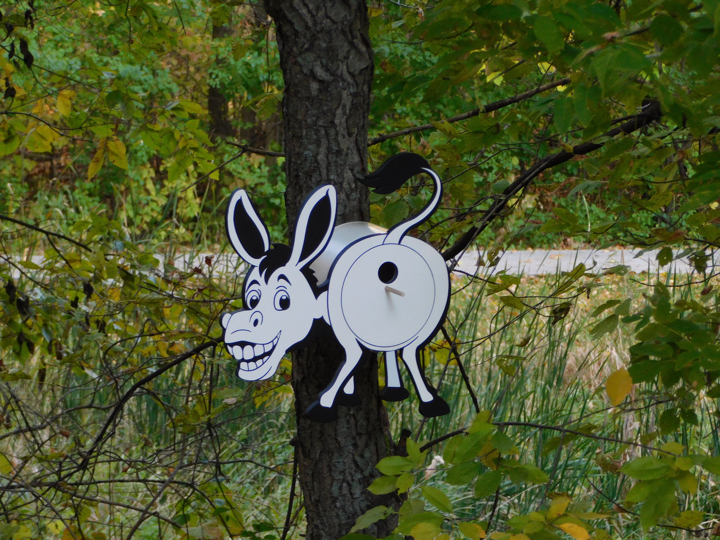 Jackass Bird House - Etsy