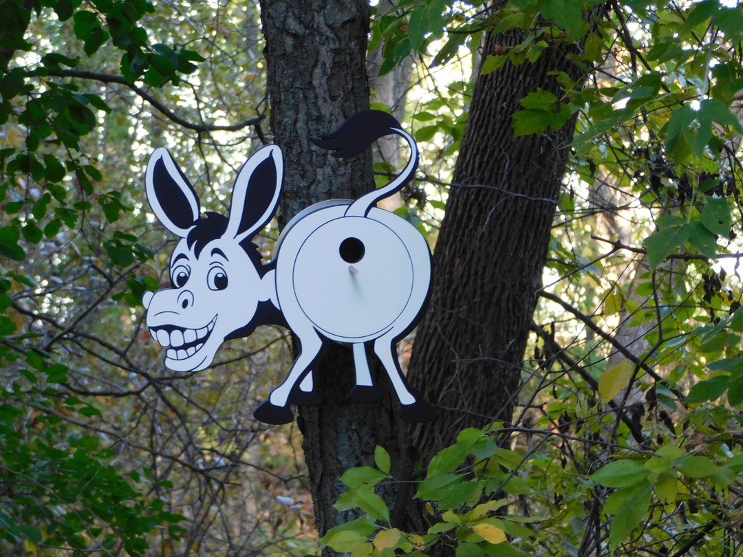 Jackass Bird House - Etsy