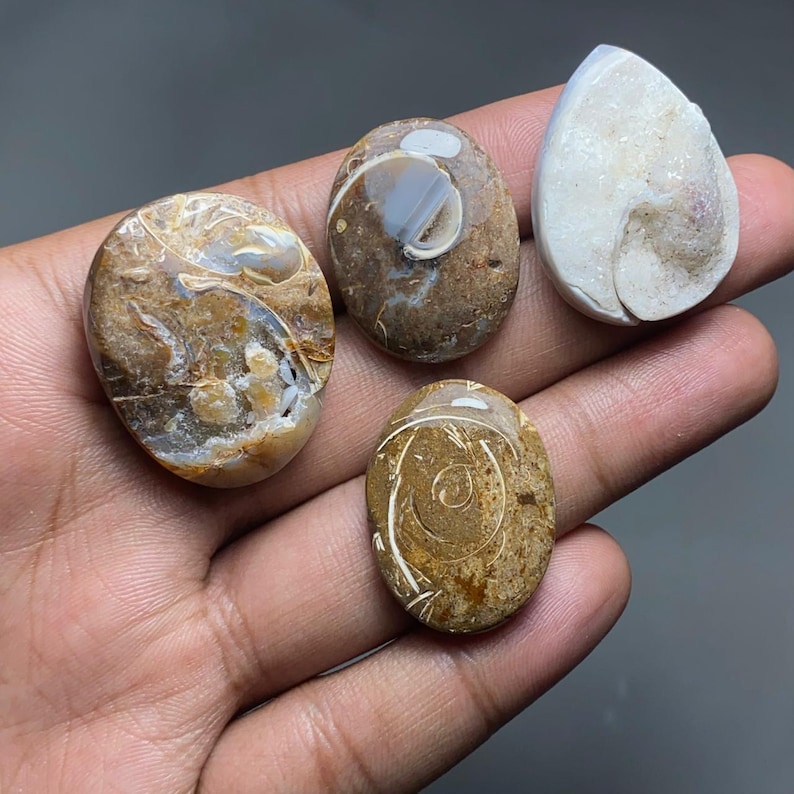 Natural Snail Shell Druzy Cabochon, Loose Gemstone, 8122 - Etsy Australia