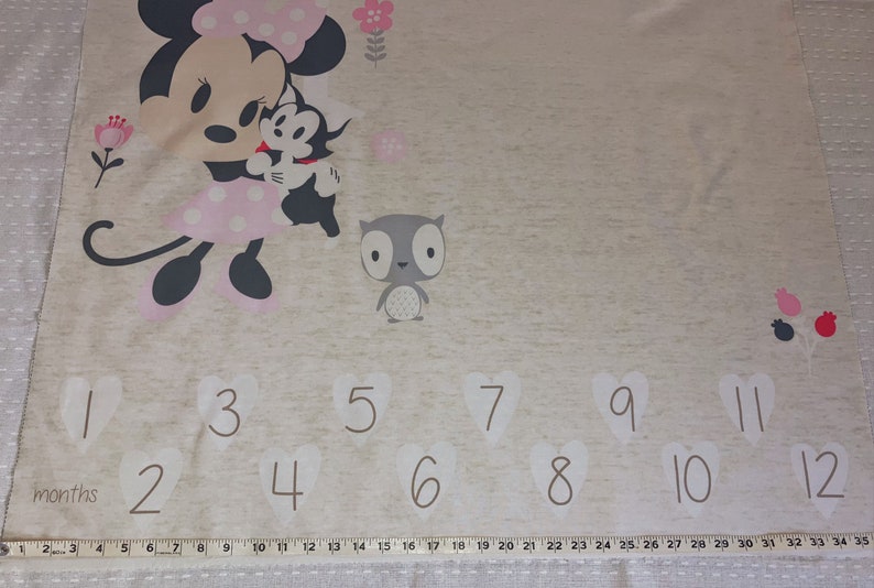 Minnie Mouse Milestone Cotton Fabric by the Panel Photo Backdrop Mat - Etsy
