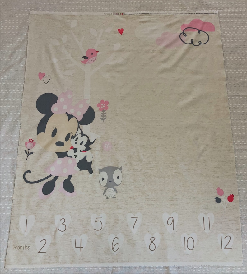 Minnie Mouse Milestone Cotton Fabric by the Panel Photo Backdrop Mat - Etsy