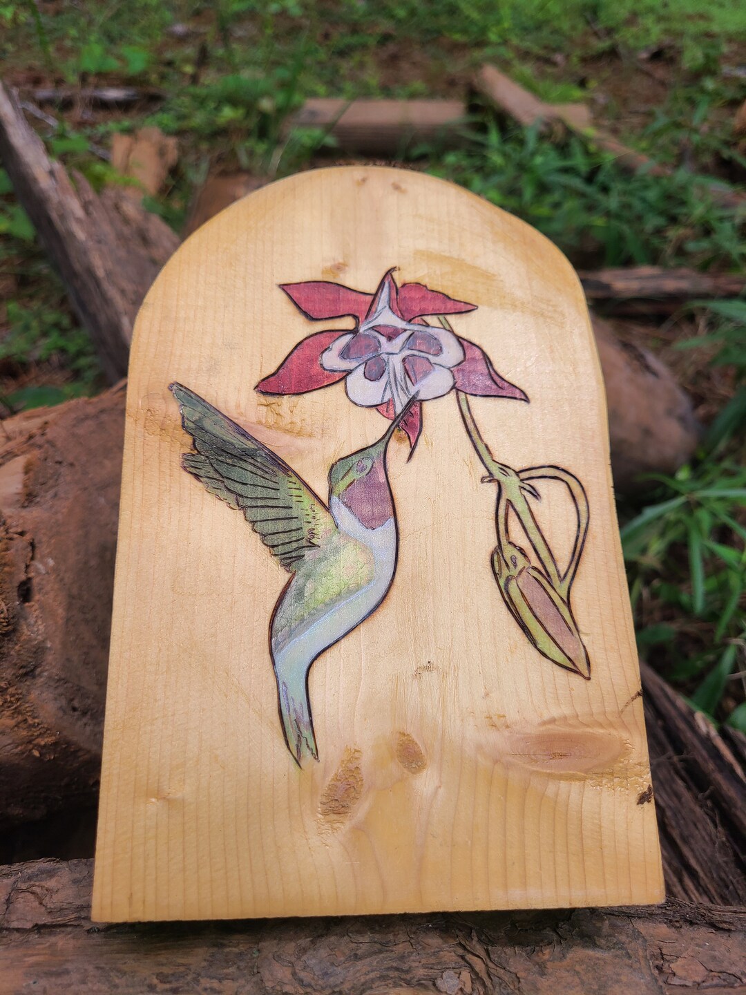 Wall Hanging, Pyrography Art, Birds, Hummingbird - Etsy