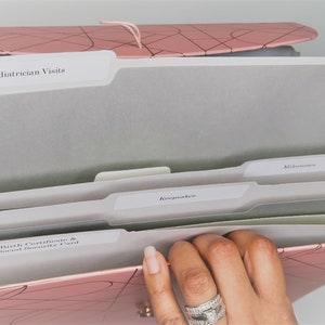 Baby Document Organizational System - Etsy
