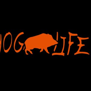 Hog Life Vinyl Car Window Decal/ High Quality Oracal Vinyl Decal / Many ...