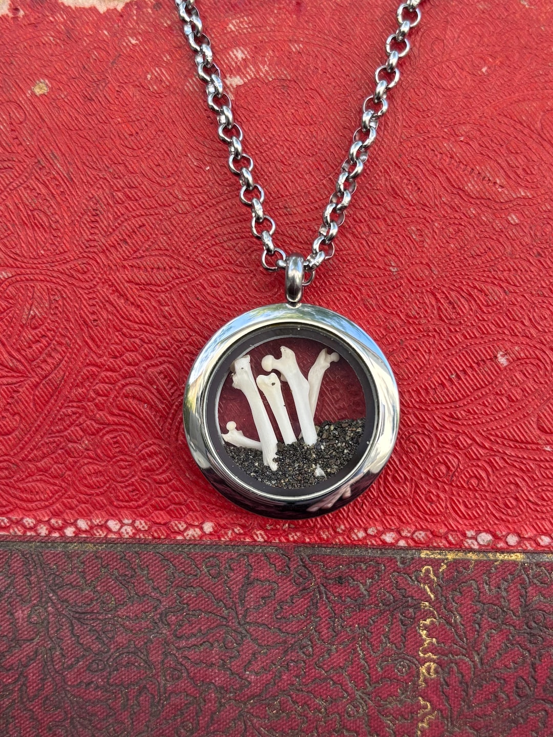 Real Mouse Bone Floating Locket - Etsy