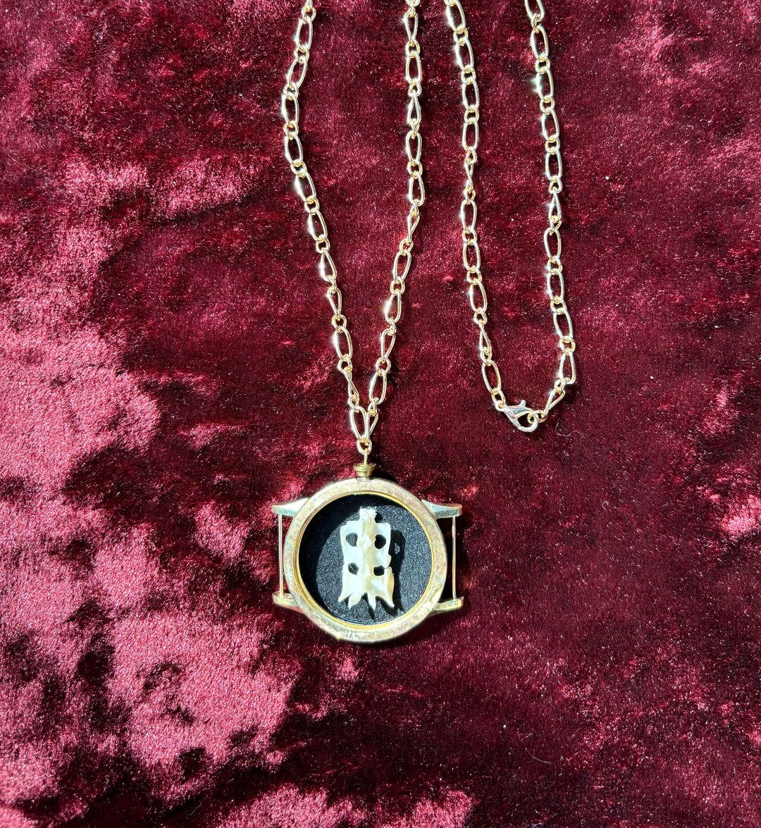 Real Rat Sacrum in a Vintage Watch Case - Etsy