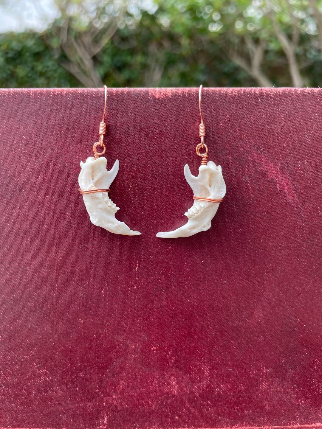 Genuine Vole Jaw Bone Dangle Earrings - Etsy