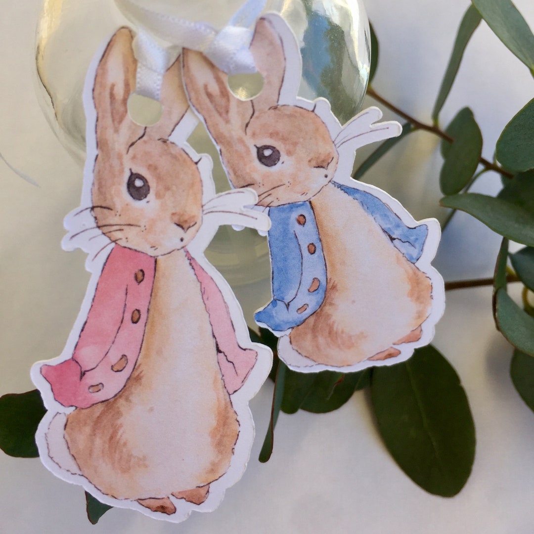 10 X Peter Rabbit Tie on Tags baby Shower Party Decoration - Etsy