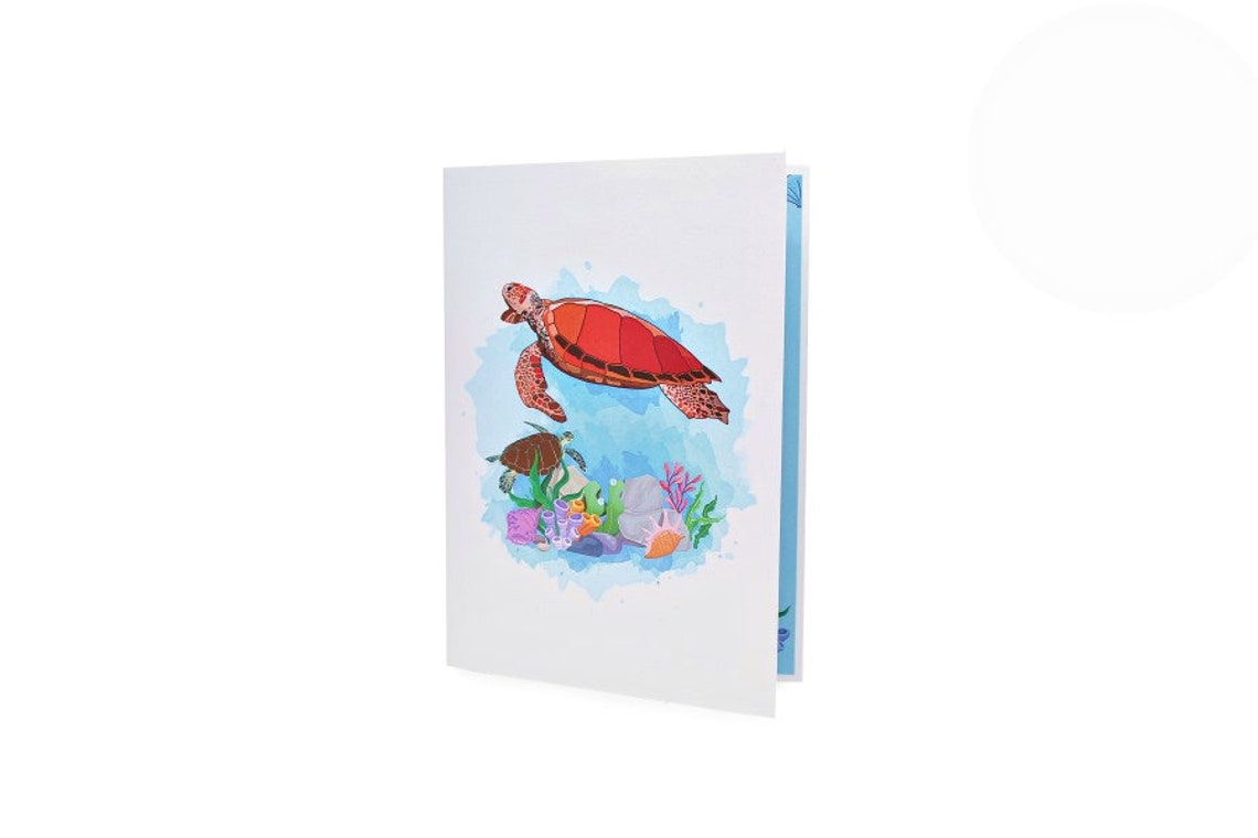 Turtle 3D Pop up Card - Etsy