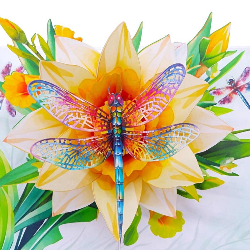 3d Dragonfly Pop up Card - Etsy
