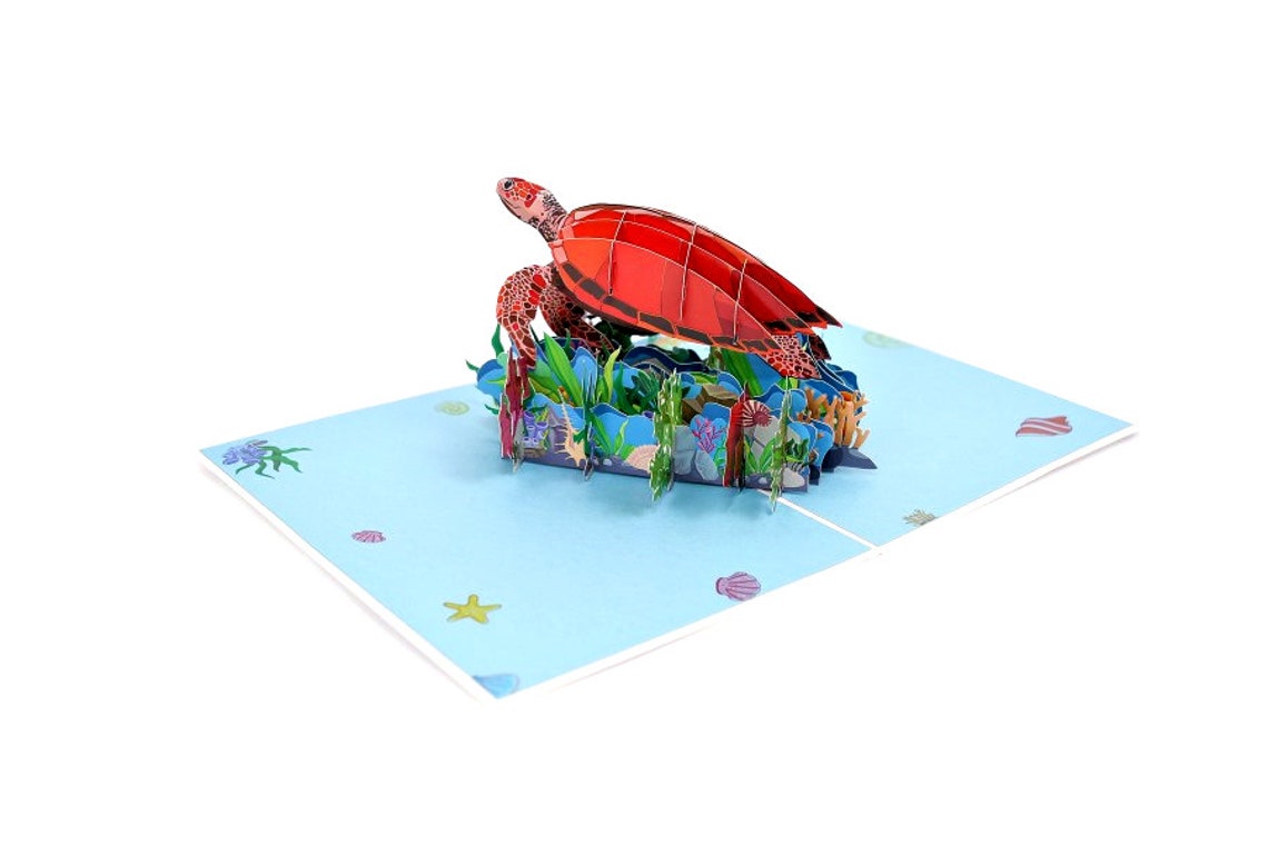 Turtle 3D Pop up Card - Etsy