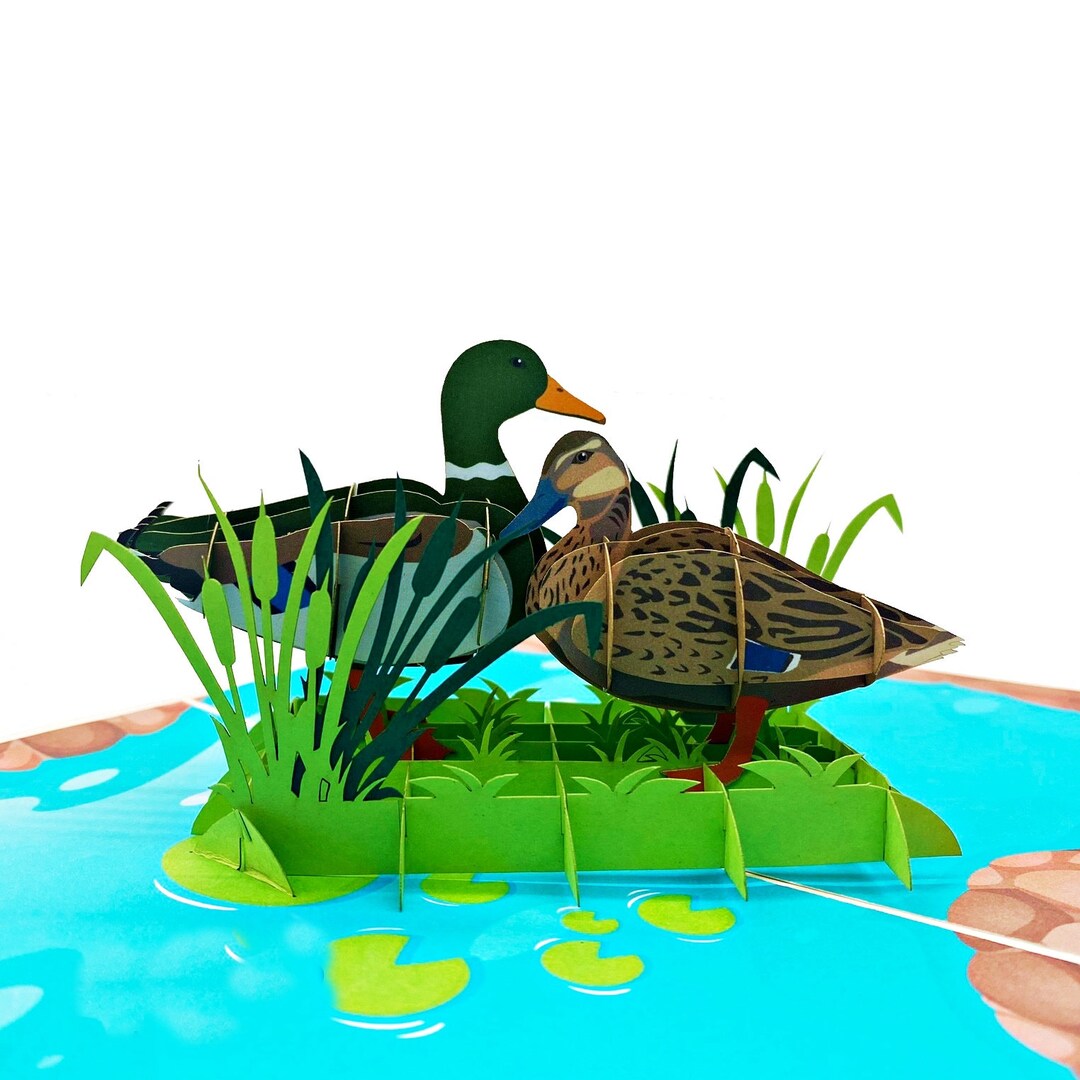 Ducks Pop up Card , Duck 3D Card for Duck Lovers , Card for Mom , Dad ...