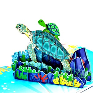 Turtle 3D Pop up Card - Etsy