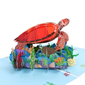 Turtle 3D Pop up Card - Etsy