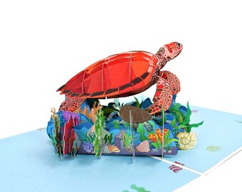 Turtle Pop up Cards - Etsy