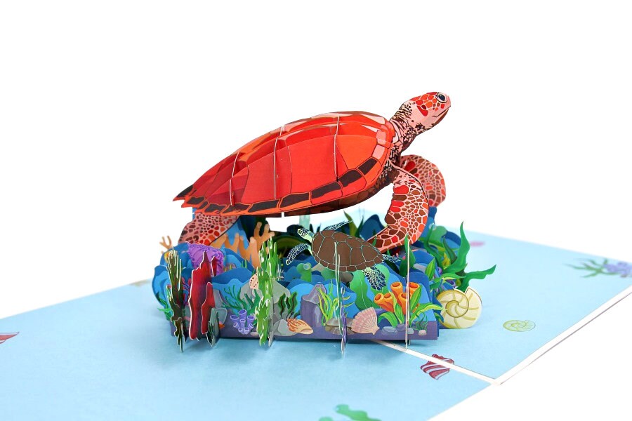 Turtle 3D Pop up Card - Etsy