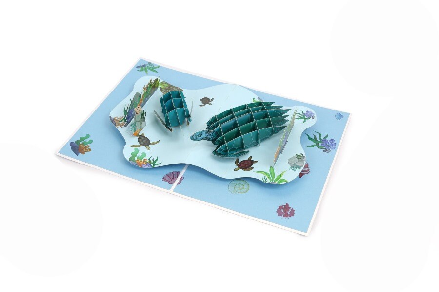 Turtle 3D Pop up Card - Etsy
