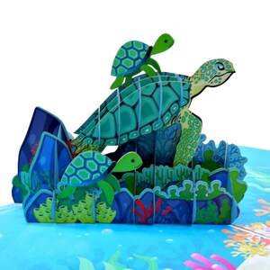 Turtle 3D Pop up Card - Etsy