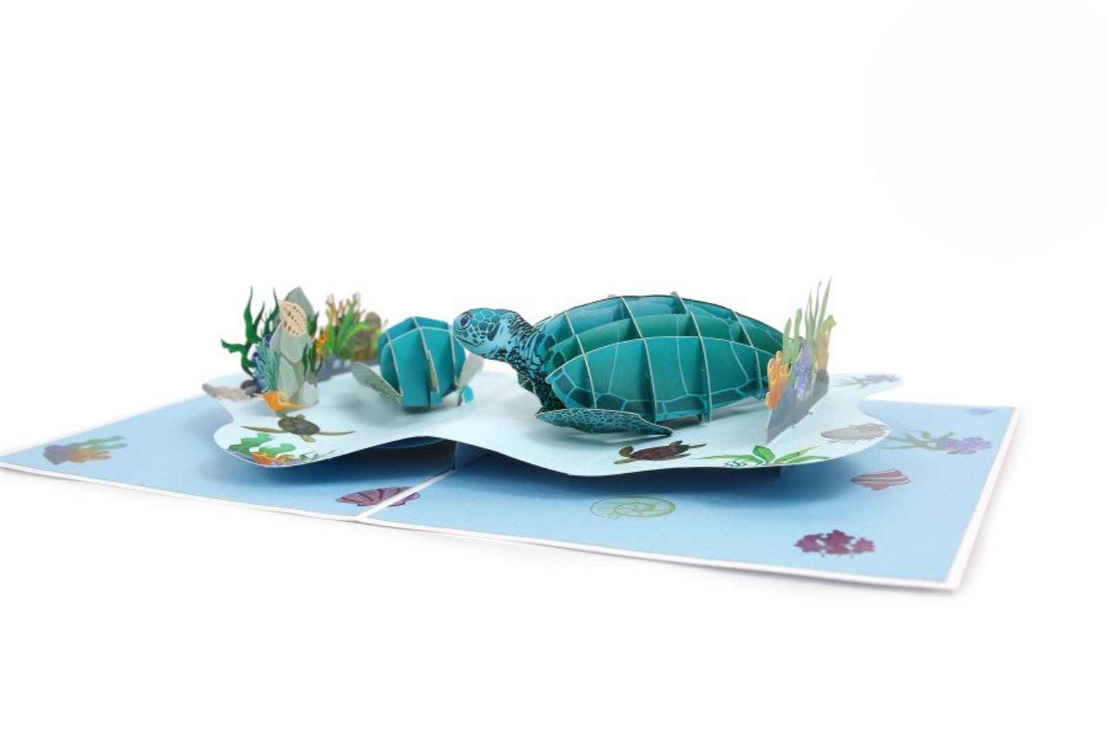 Turtle 3D Pop up Card - Etsy