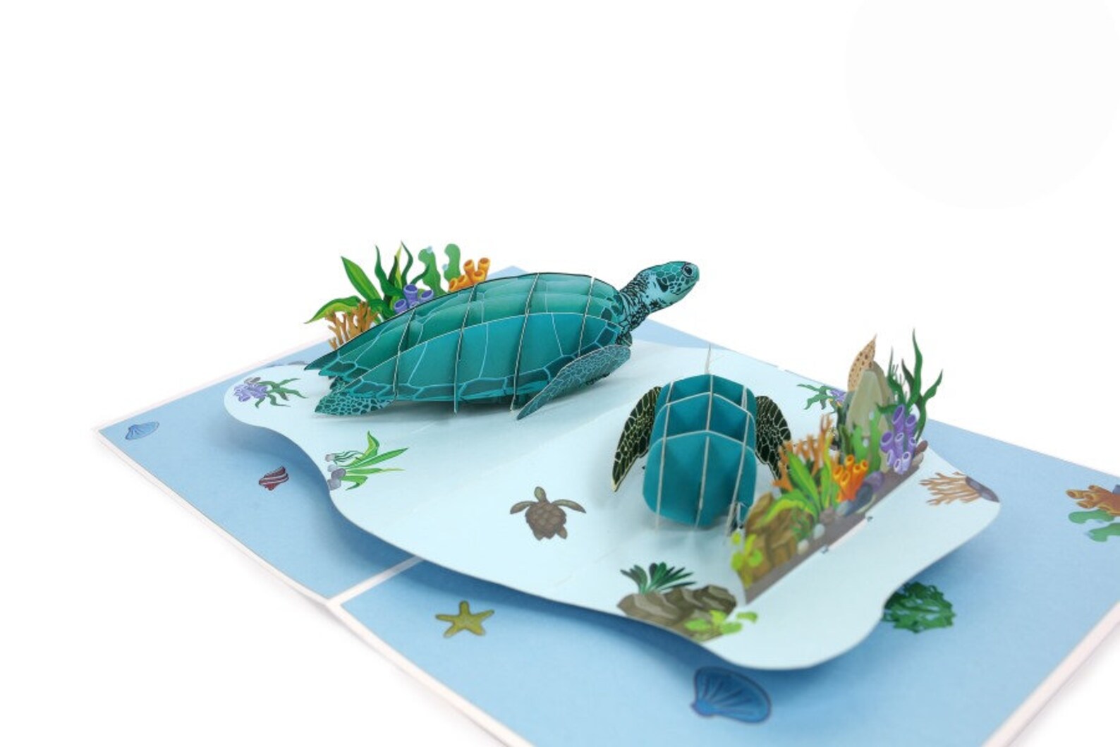 Turtle 3D Pop up Card - Etsy